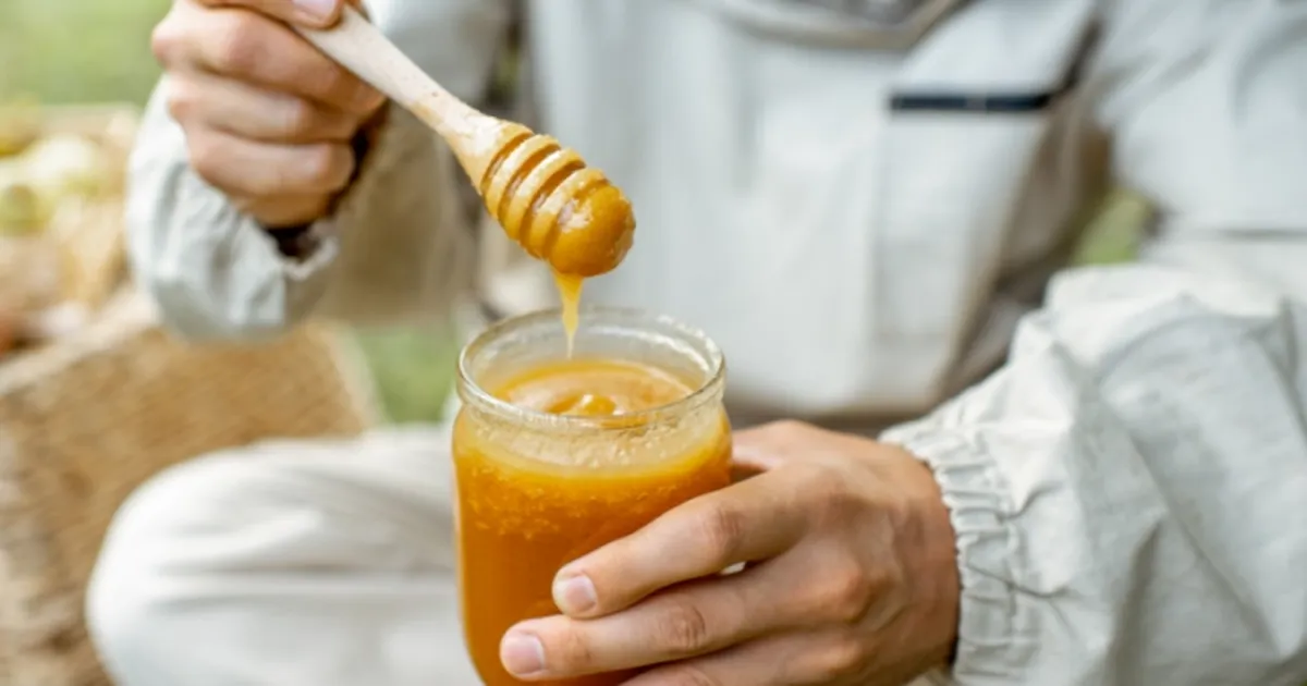 Deli bal nedir? Deli balın etkileri nelerdir? - Bursa 5n1k