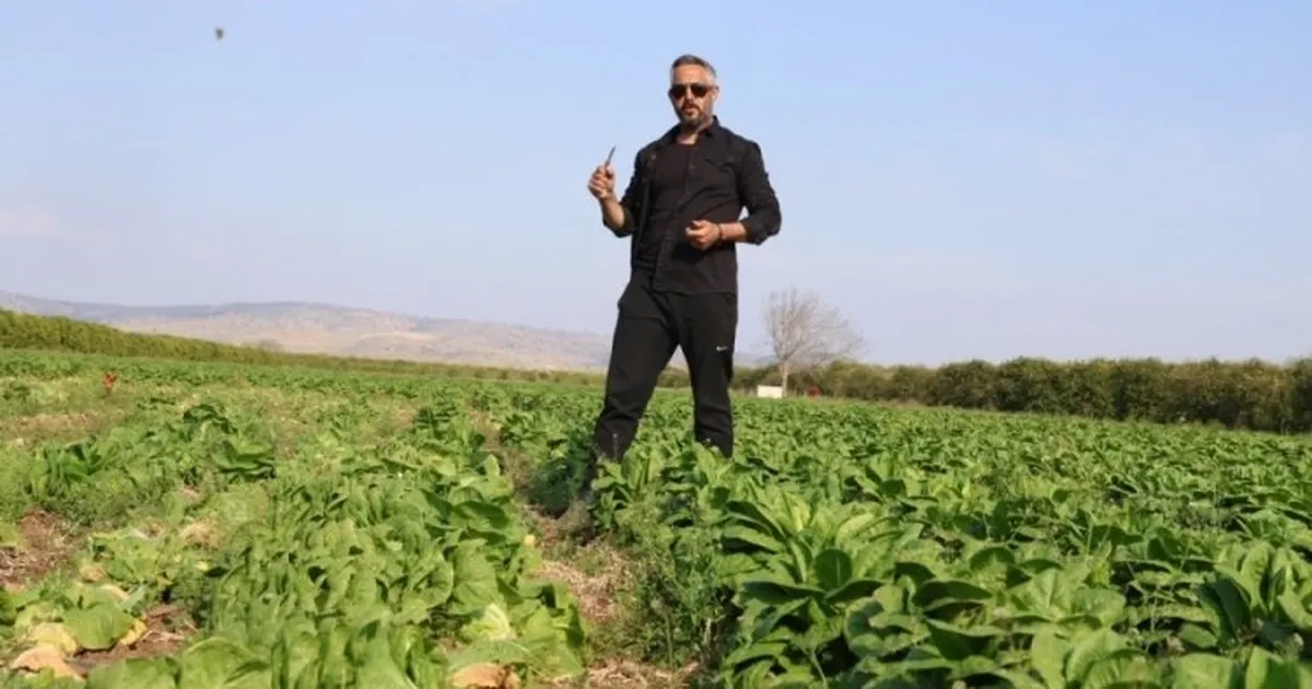 Üreticide en ucuz sebze marul: Tarlada 5 TL, manavda 5 katı - Bursa 5n1k