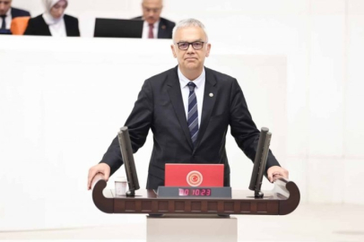 CHP'li Pala: Maymun çiçeği hastalığı ile ilgili acil eylem planı nedir ...